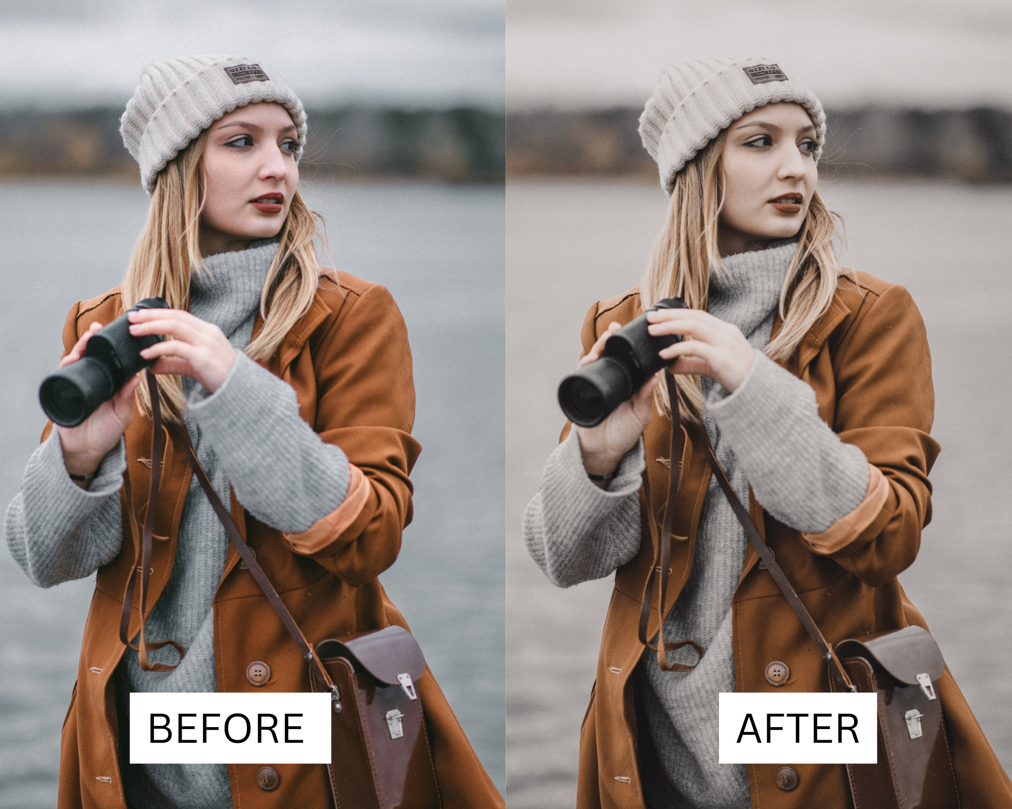 40 LUTS | Folklore | Forest | Video Presets | Video Filters | Video ...