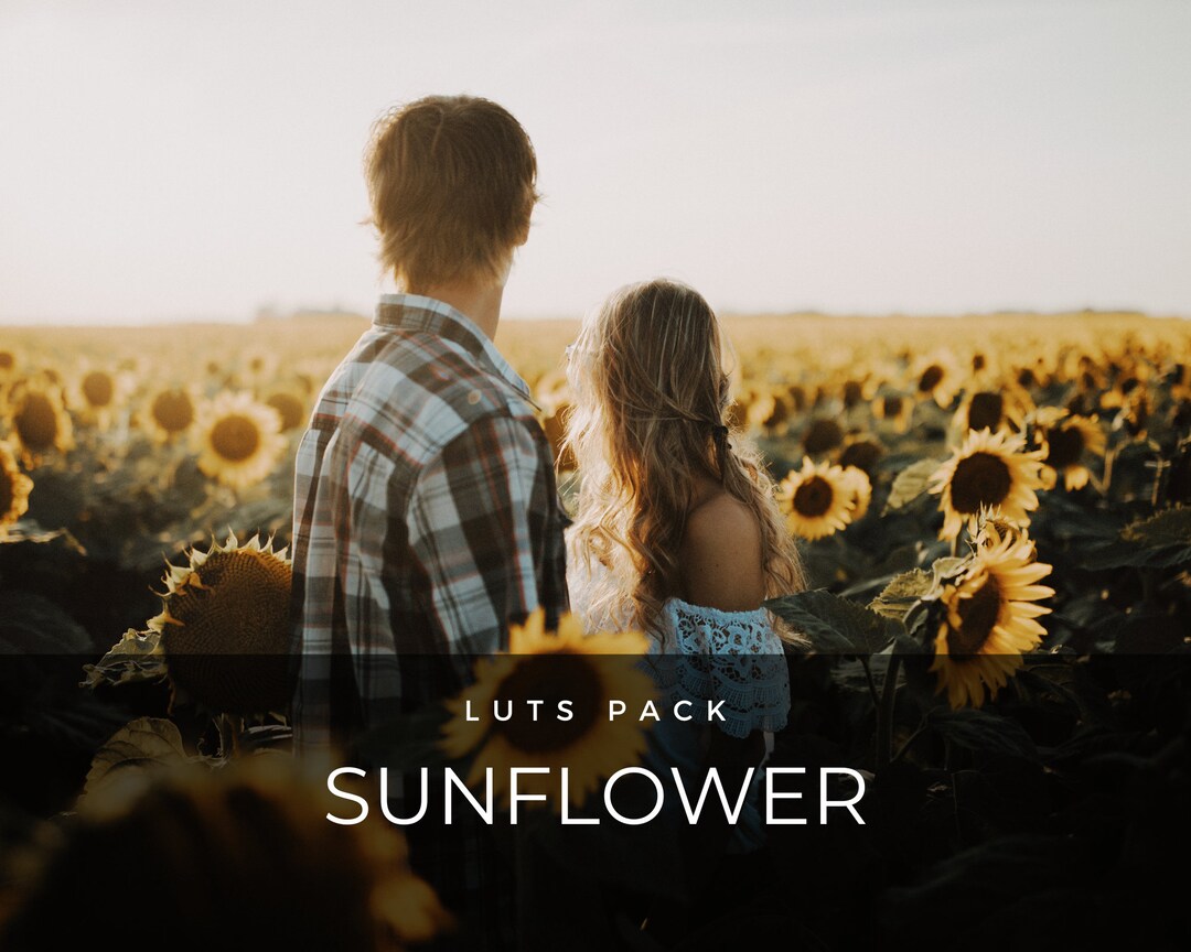 40 LUTS | Sunflower | Video Presets | Editing | Filters | Photoshop ...