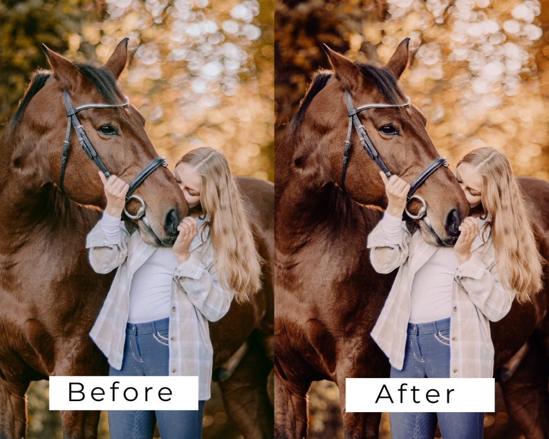 40 Lightroom Presets | Horse Riding | Horses | Equestrian | Desktop - Etsy
