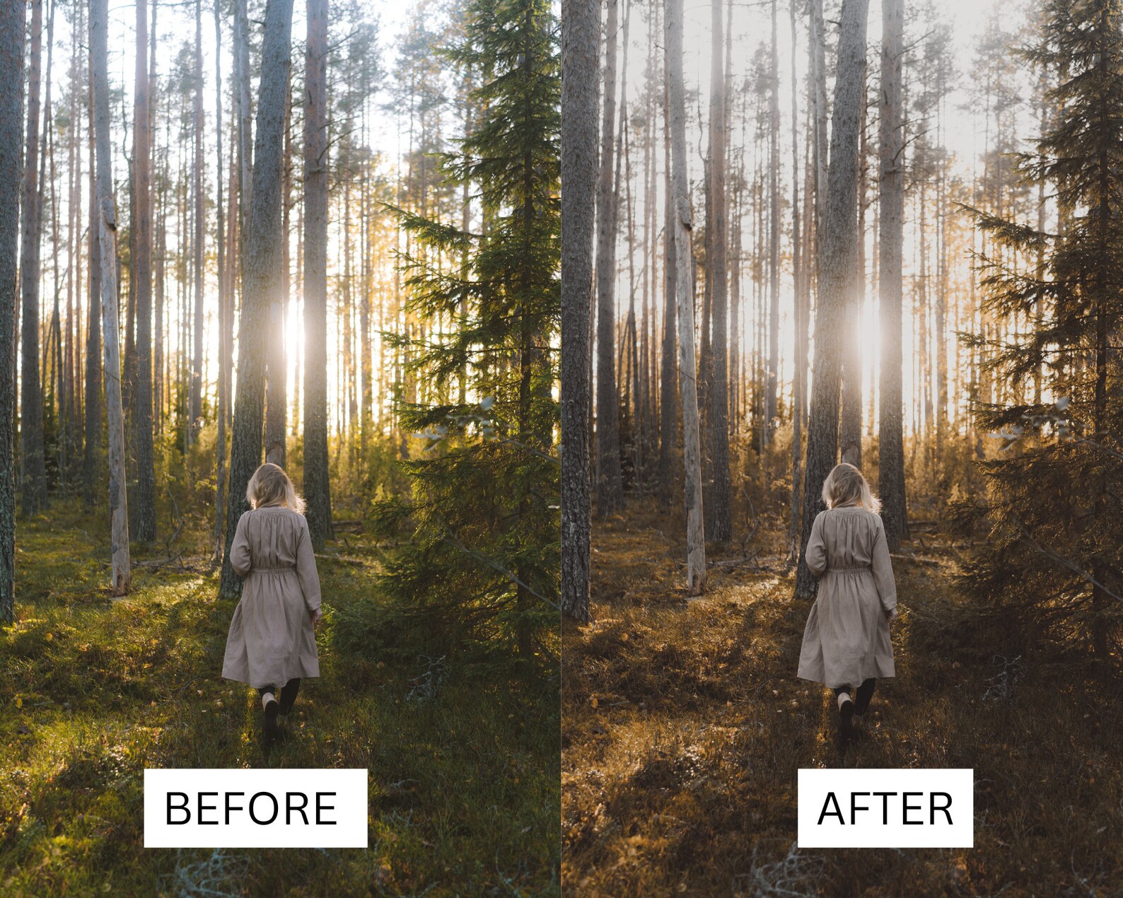40 LUTS | Folklore | Forest | Video Presets | Video Filters | Video ...
