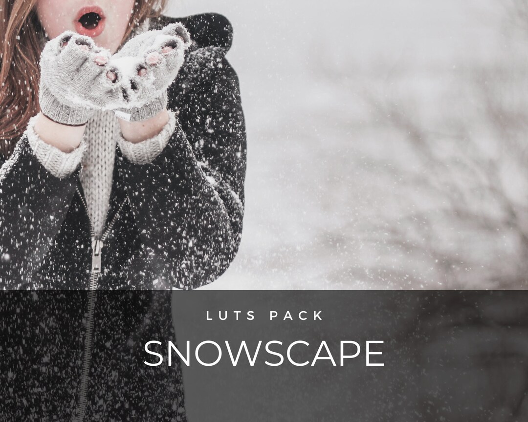 40 LUTS | Snowscape | Video Presets | Video Editing | Video Filters ...