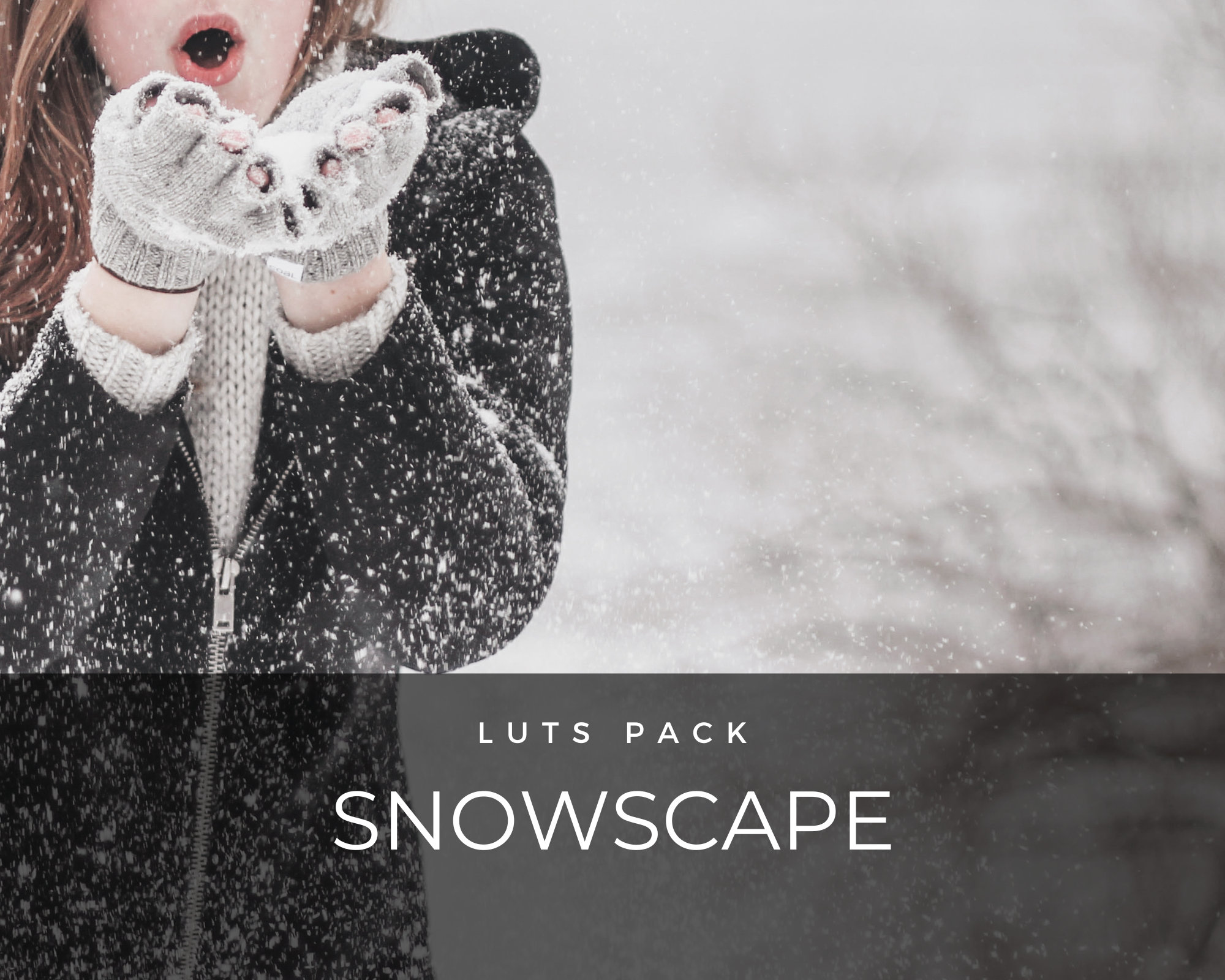 40 LUTS | Snowscape | Video Presets | Video Editing | Video Filters ...