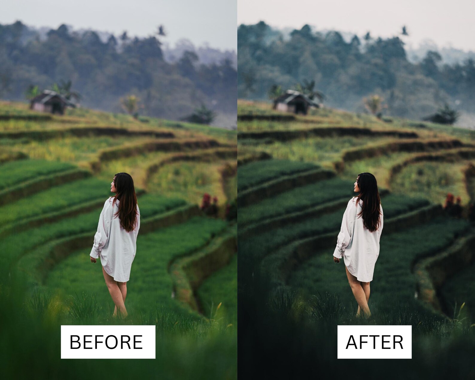 40 Bali Cinematic LUT Pack | Tropical Green Film Look Luts for Premiere ...