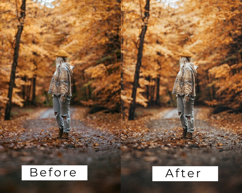 50 Autumn Luts Pack | Fall Color Grading Luts for Premiere Pro, Capcut ...