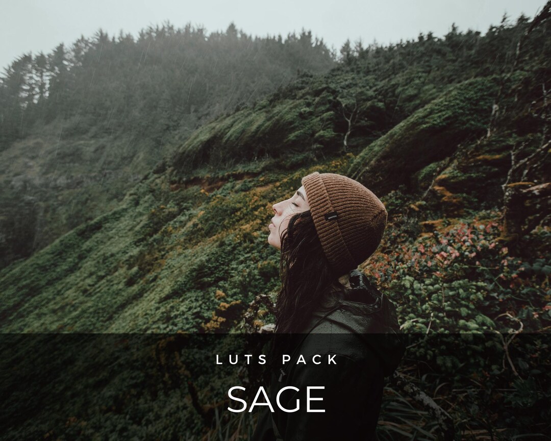 Sage Green Luts – Dark Moody Green, Cinematic Hiking Forest, Travel ...