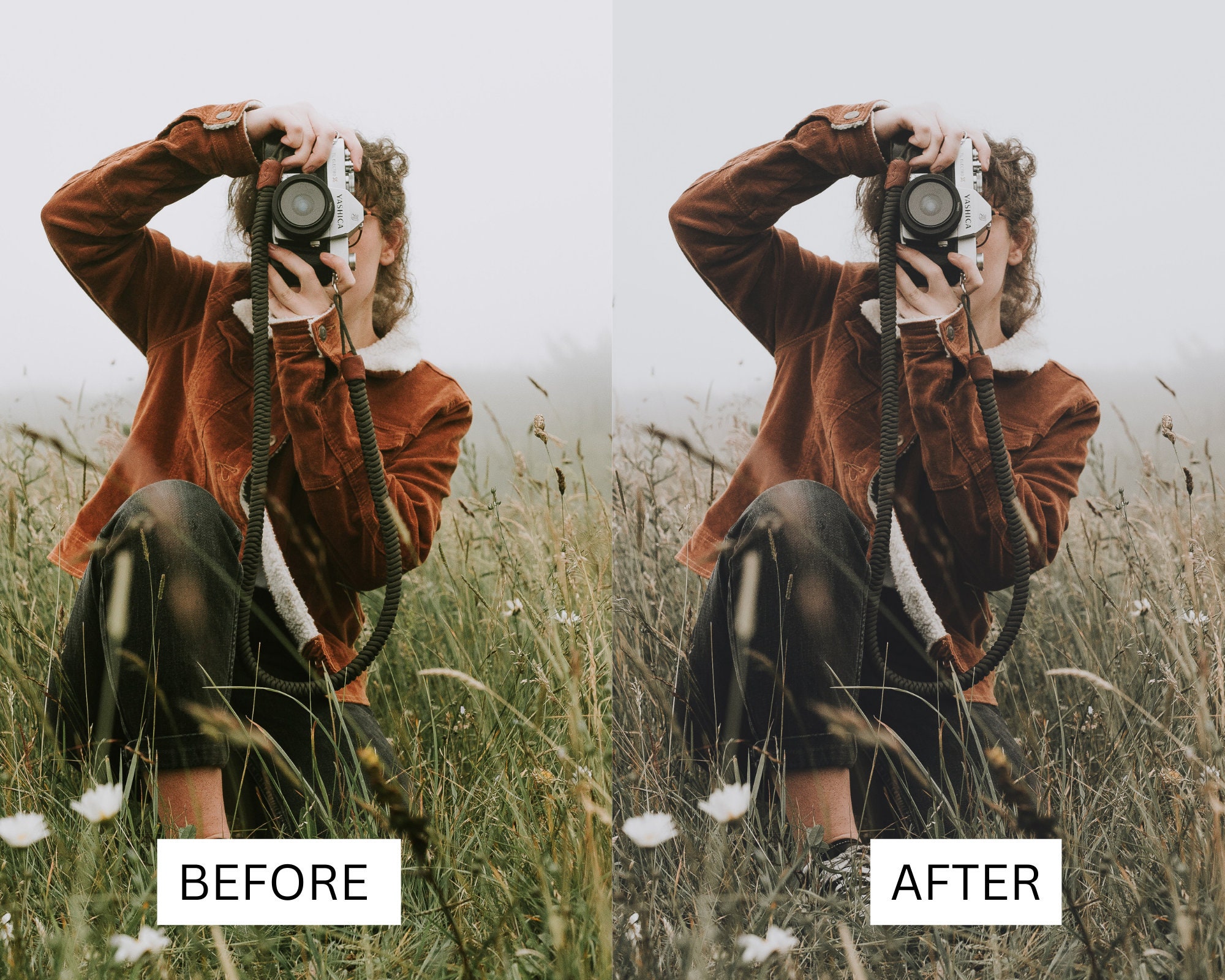 40 LUTS | Folklore | Forest | Video Presets | Video Filters | Video ...