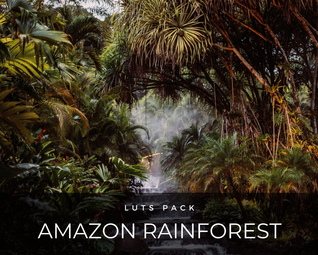 50 LUTS | Amazon Rainforest | Jungle | Brazil | Wildlife | Trees ...