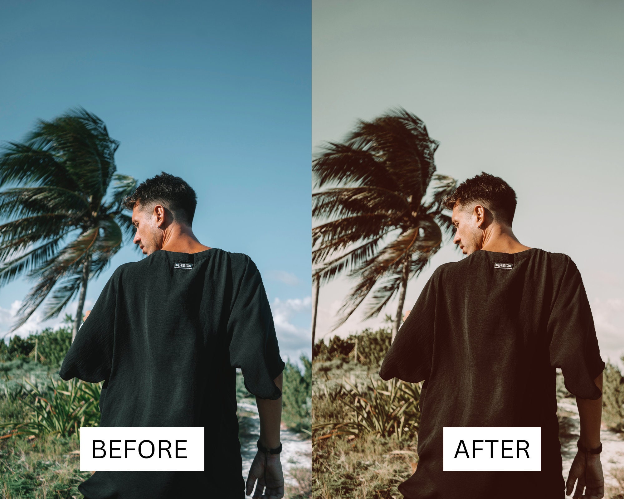 40 LUTS | Summer Sun | Beach | Tropical | Premiere Pro | After Effects ...
