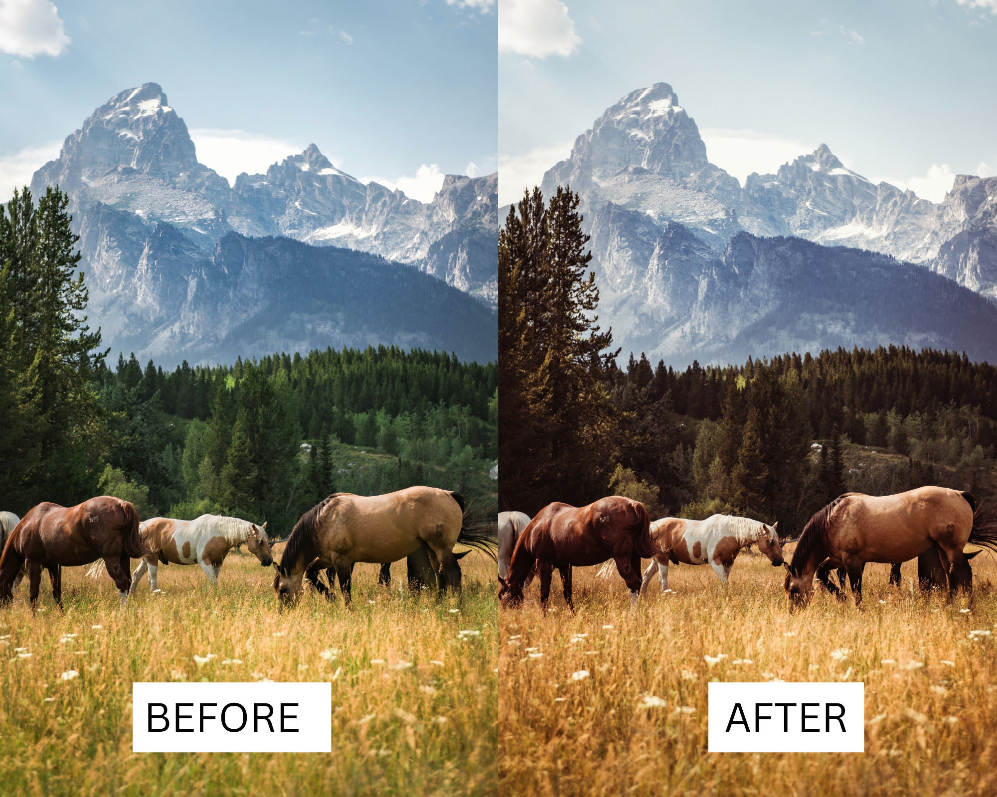 40 LUTS | Wild West | Western | Farm | Horses | Premiere Pro | After ...