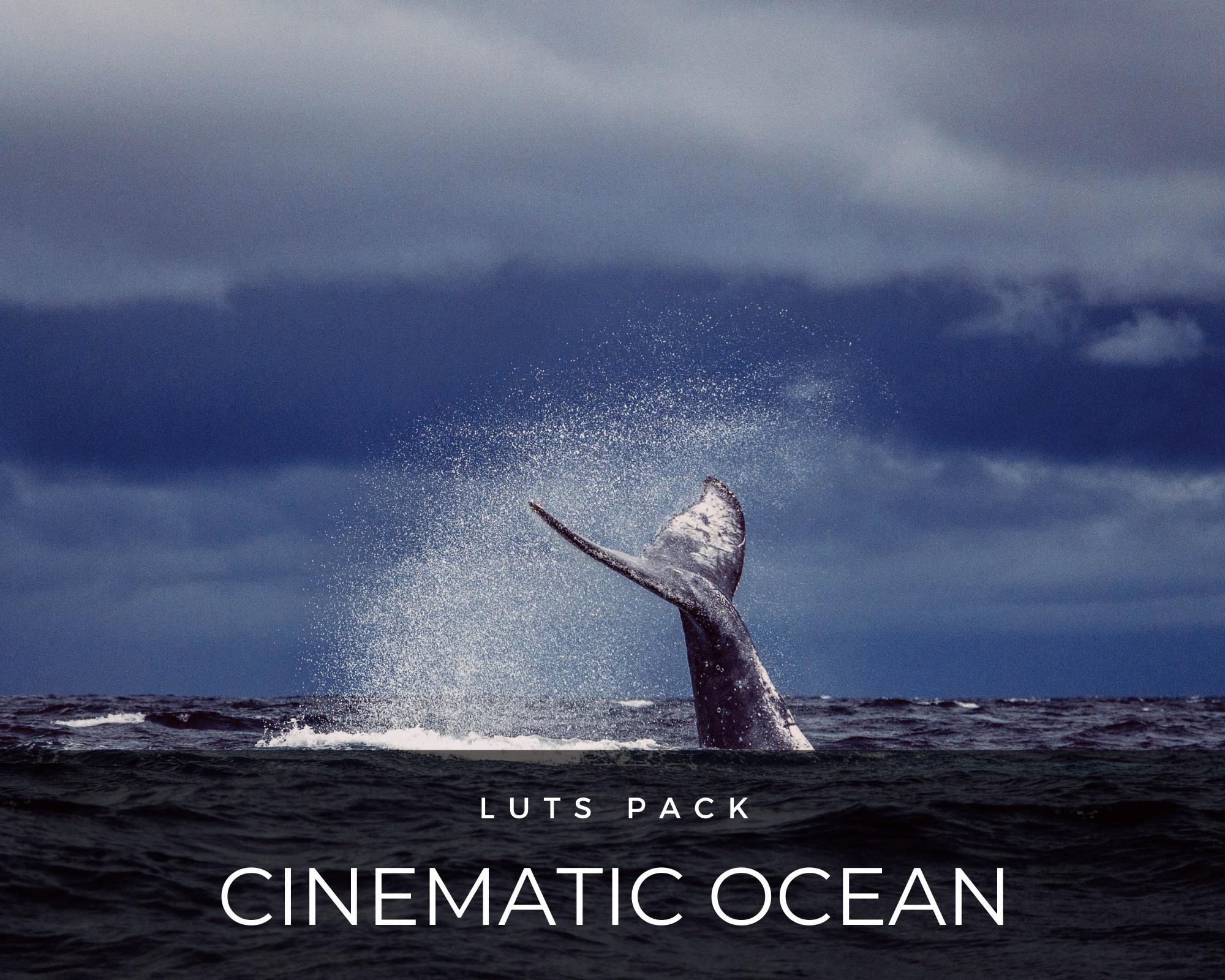 40 LUTS | Cinematic Ocean | Sea | Landscape | Blue | Premiere Pro ...