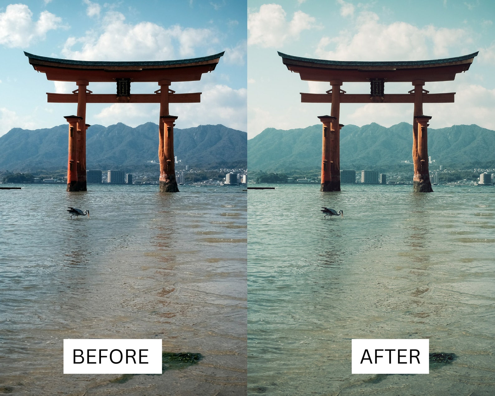 40 LUTS | Japan Film | Tokyo | Mood | Premiere Pro | After Effects ...