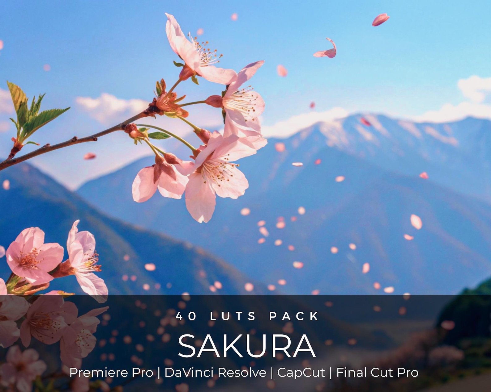 40 Cherry Blossom Luts | Sakura Japan Pink Pastel Color Grading LUT ...