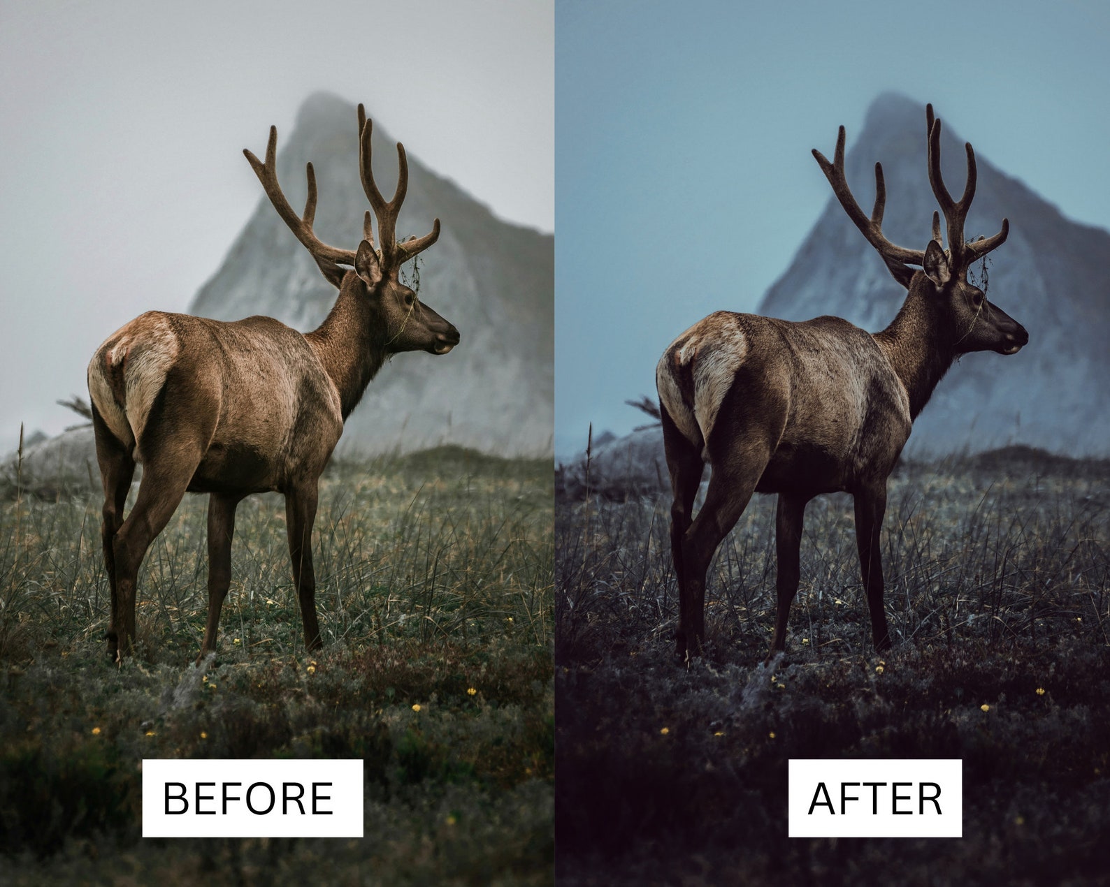 40 Moody Blue Landscape Luts | Cinematic Color Grading for Premiere Pro ...