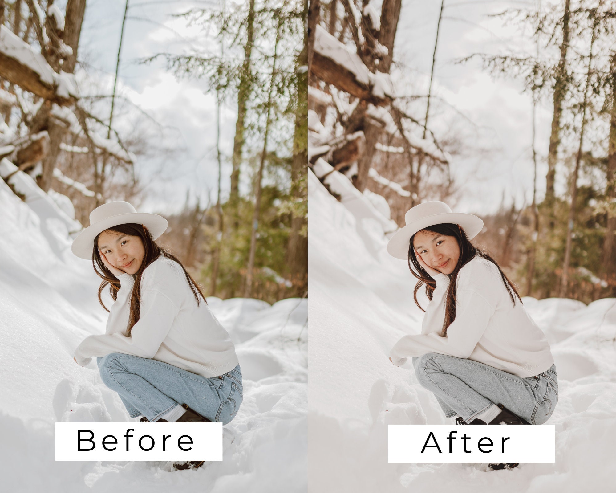 40 LUTS | Snowscape | Video Presets | Video Editing | Video Filters ...