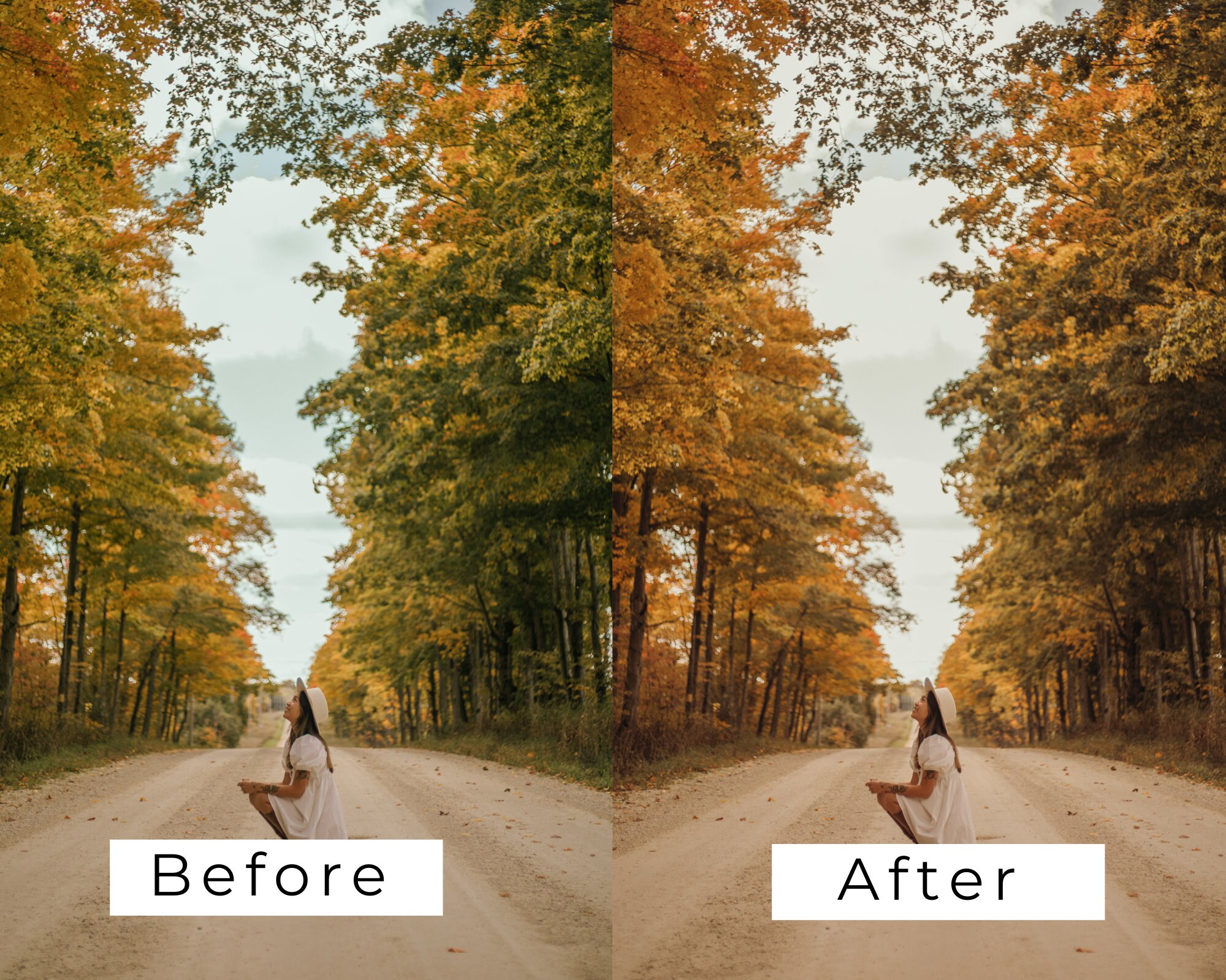 50 LUTS October Mood Autumn Fall October Premiere Pro Photoshop After ...