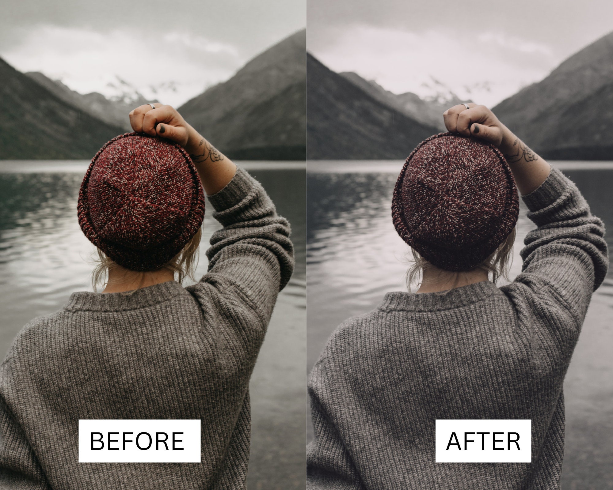 40 LUTS | Folklore | Forest | Video Presets | Video Filters | Video ...