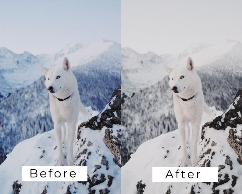 40 LUTS | Snowscape | Video Presets | Video Editing | Video Filters ...