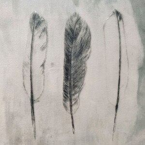 Feathers Handmade Intaglio Print - Etsy