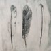 Feathers Handmade Intaglio Print - Etsy