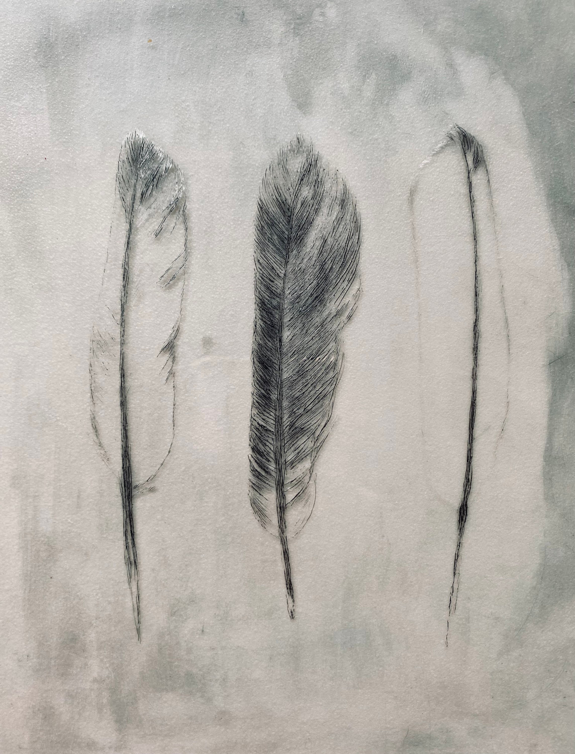 Feathers Handmade Intaglio Print - Etsy