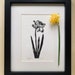 Feathers Handmade Intaglio Print - Etsy