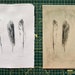 Feathers Handmade Intaglio Print - Etsy