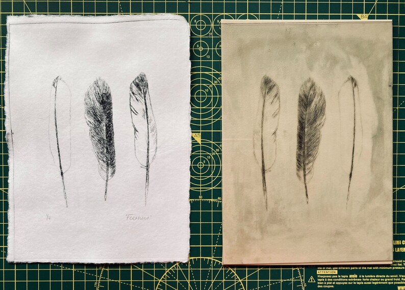 Feathers Handmade Intaglio Print - Etsy
