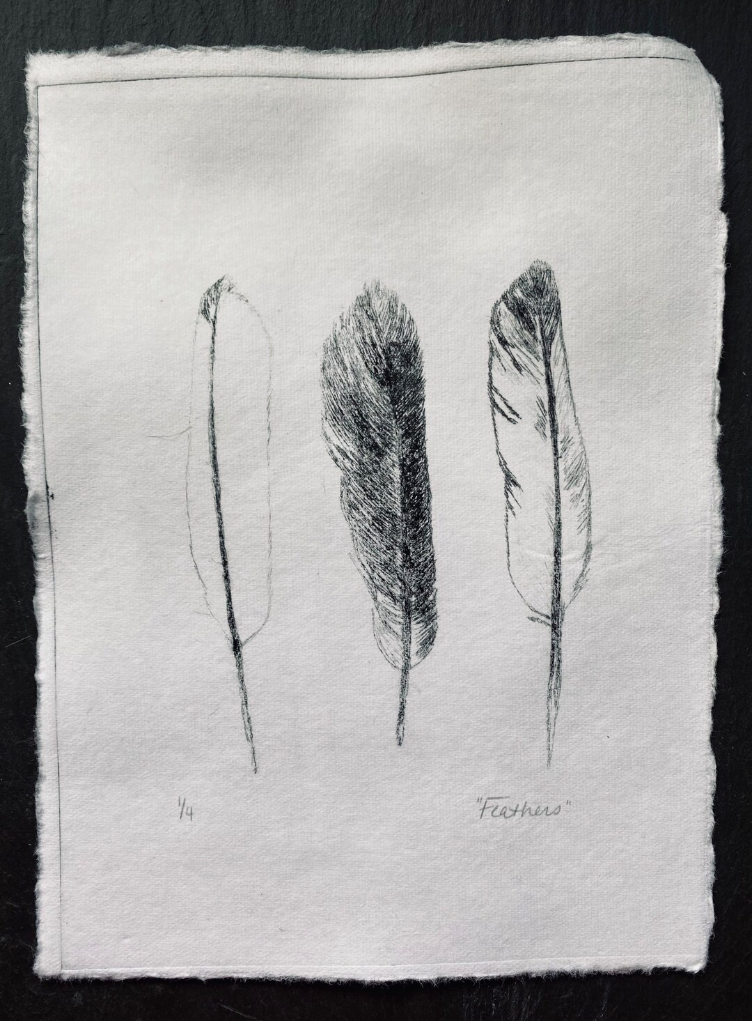 Feathers Handmade Intaglio Print - Etsy