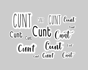 Sassy Stickers Cursing Stickers Curse Word Stickers - Etsy