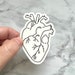 Anatomical Heart Sticker Heart Anatomy Sticker Nursing - Etsy