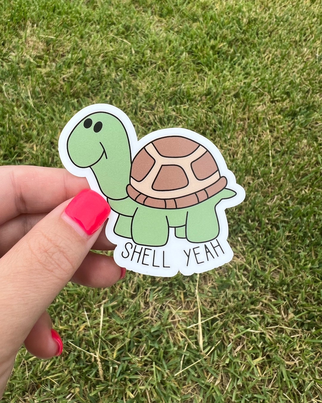 Funny Turtle Sticker Cute Turtle Sticker Sea Life Sticker - Etsy