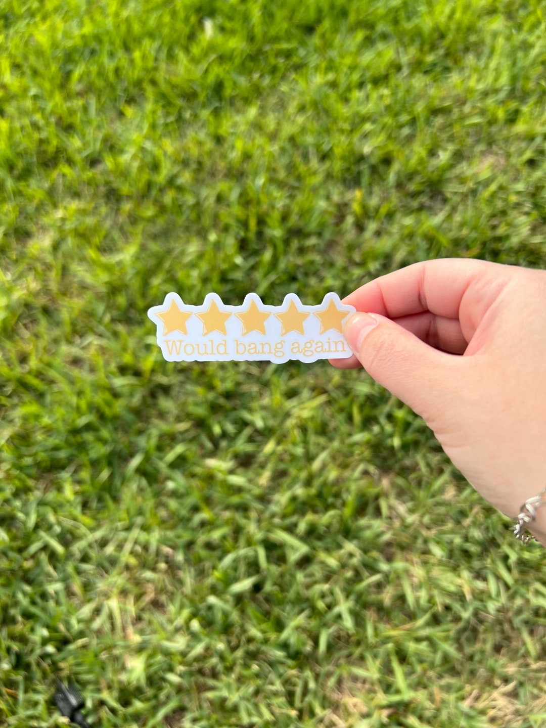 Five Star Stickers Would Bang Again Funny Sticker Adult Pun - Etsy