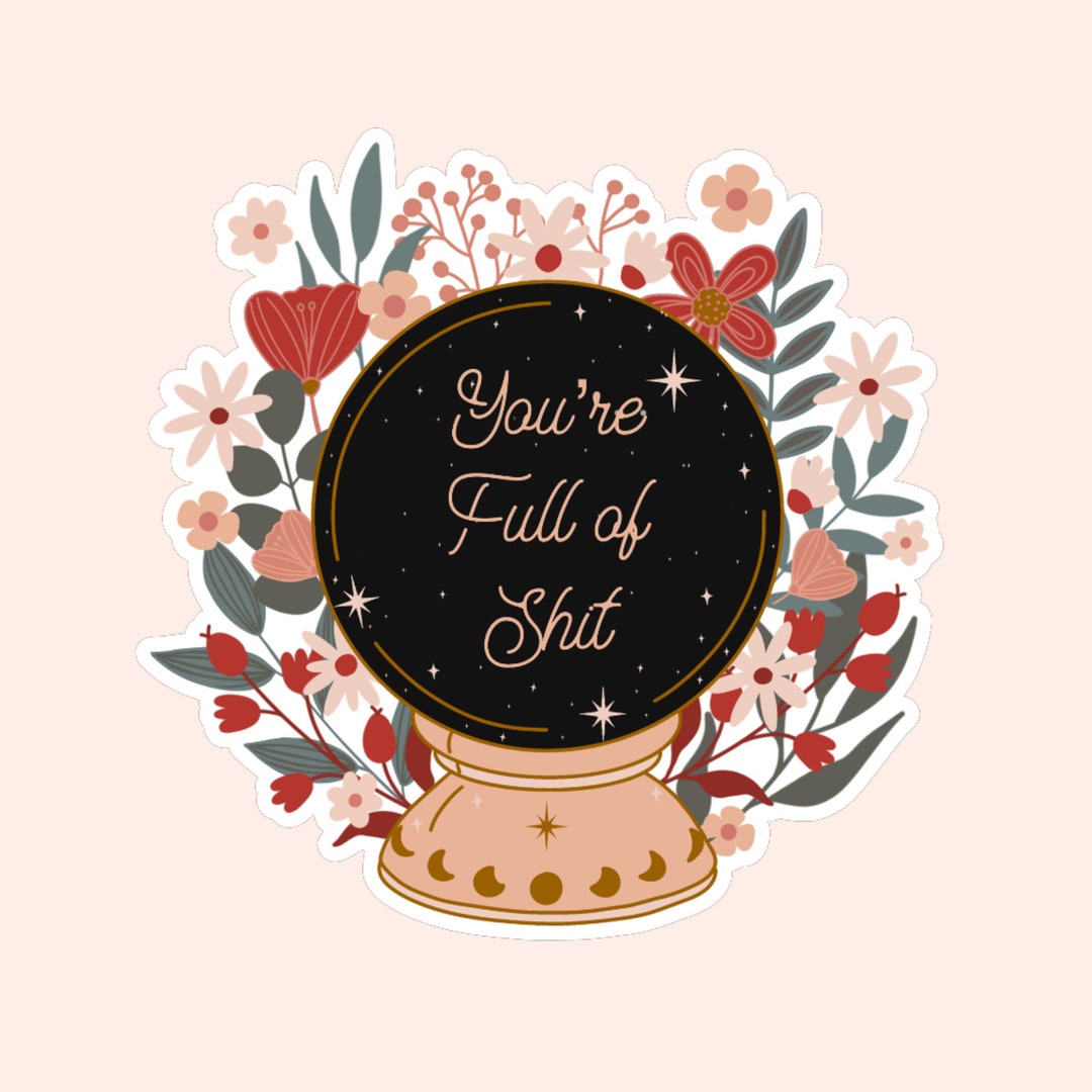 Crystal Ball Sticker Funny Stickers Adult Liar Liar Sticker - Etsy