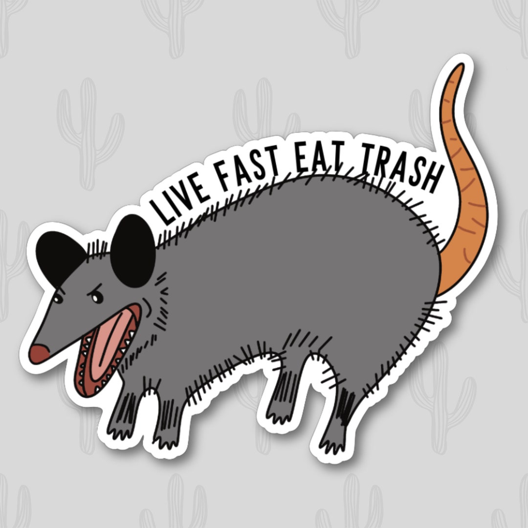 Live Fast Eat Trash Sticker, Possum Sticker, Funny Sticker, Laptop ...