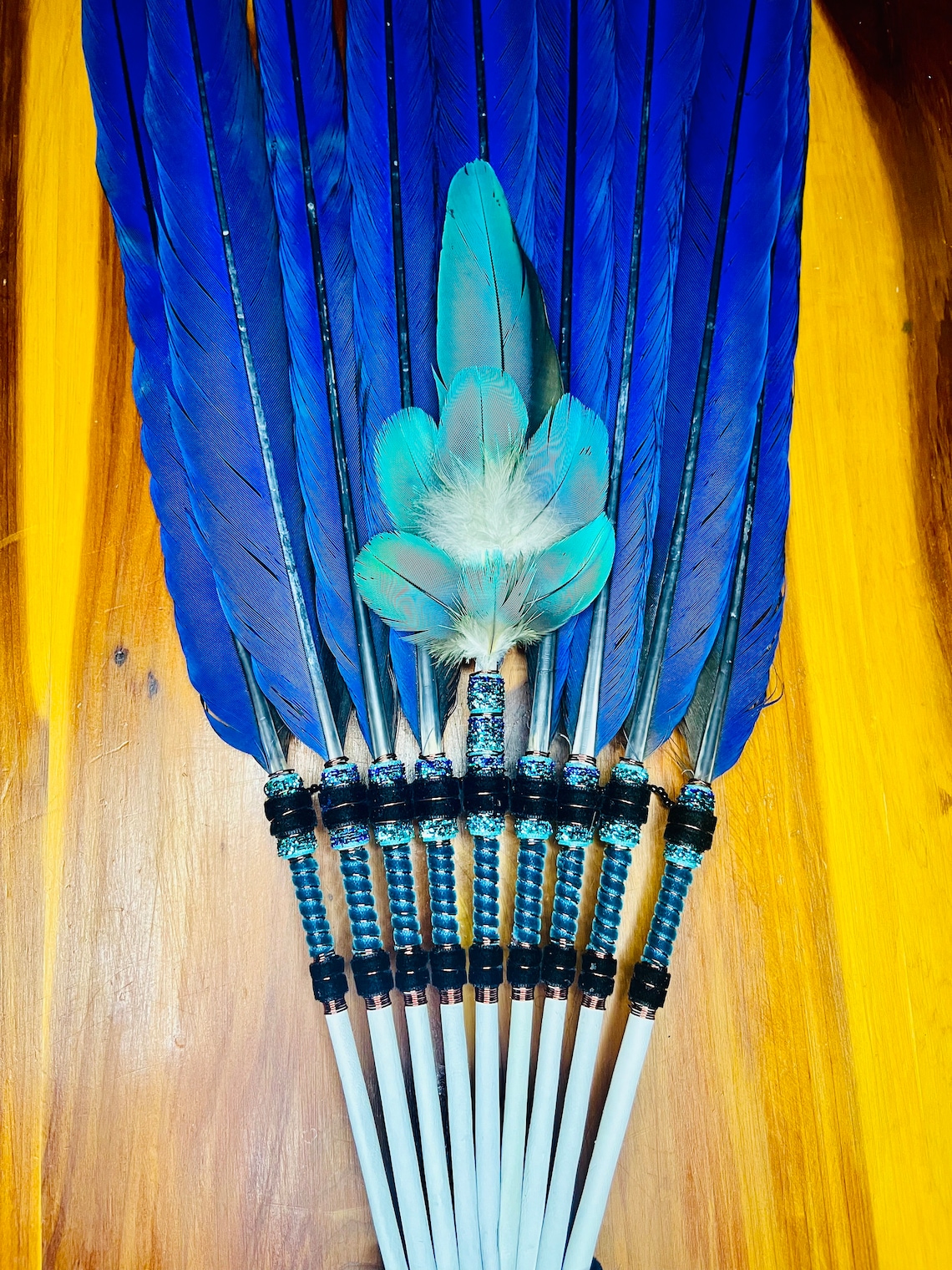 Beautiful Rare Hyacinth Macaw Feather Fan, NAC, Native American Church ...