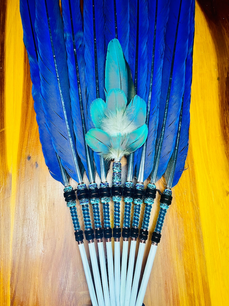 Beautiful Rare Hyacinth Macaw Feather Fan, NAC, Native American Church ...