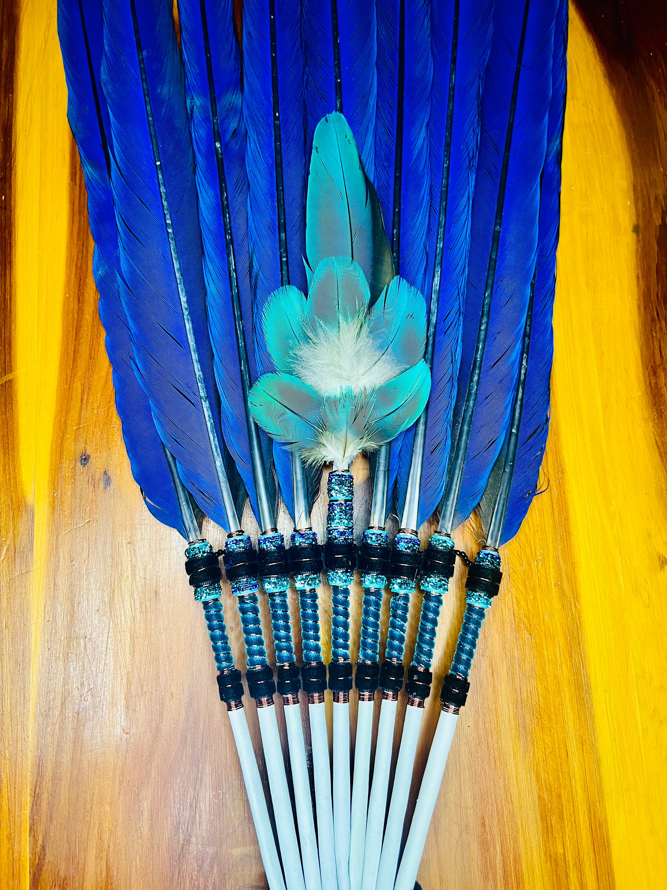 Beautiful Rare Hyacinth Macaw Feather Fan, NAC, Native American Church ...