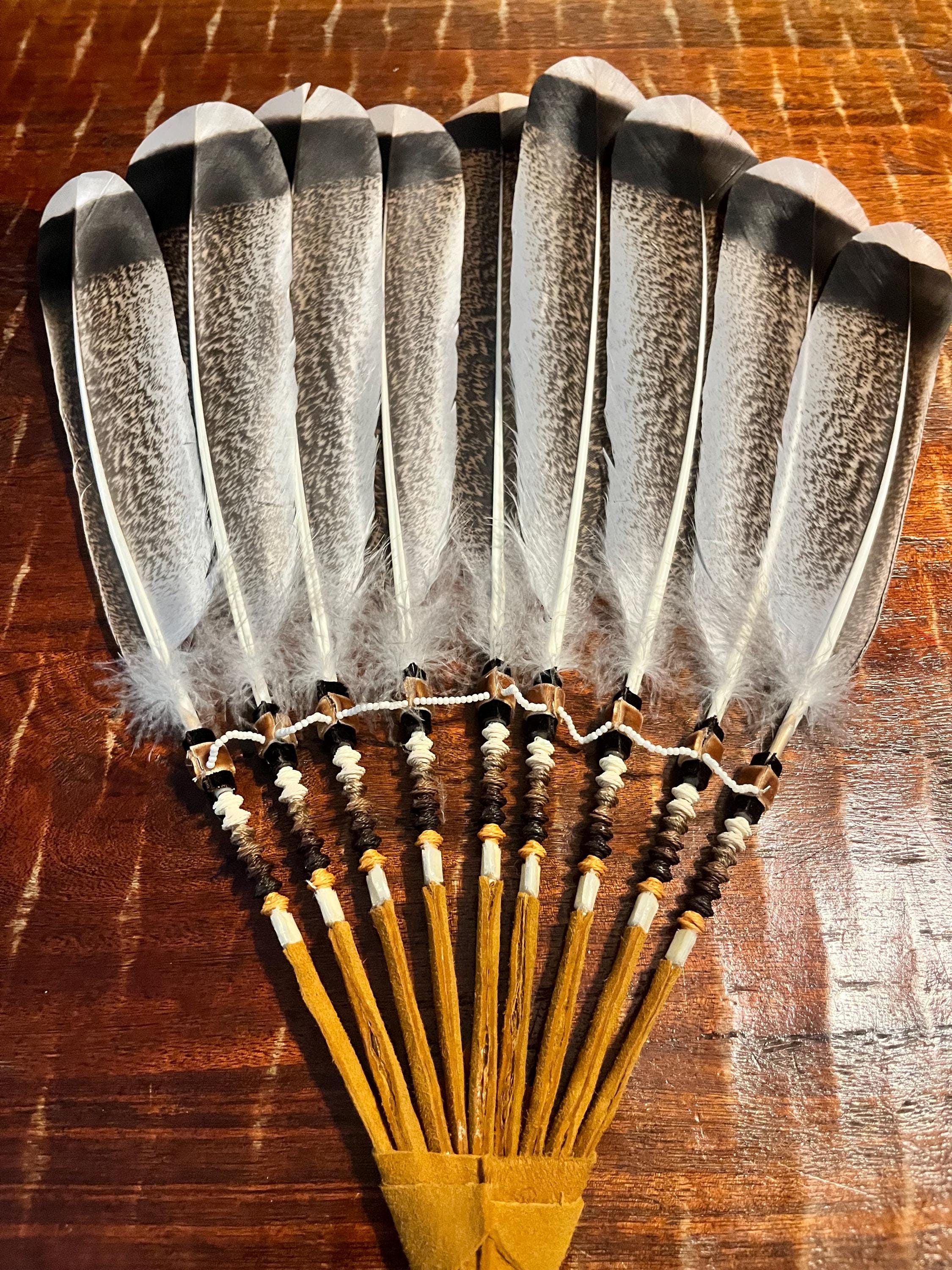 NAC Peyote Fan, Ceremony Instrument, Beautiful Natural Wild Turkey ...