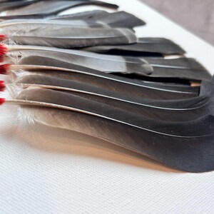 NAC Prayer Fan, Feather Peyote Ceremony Tool, Alter and Smudge Fan. - Etsy