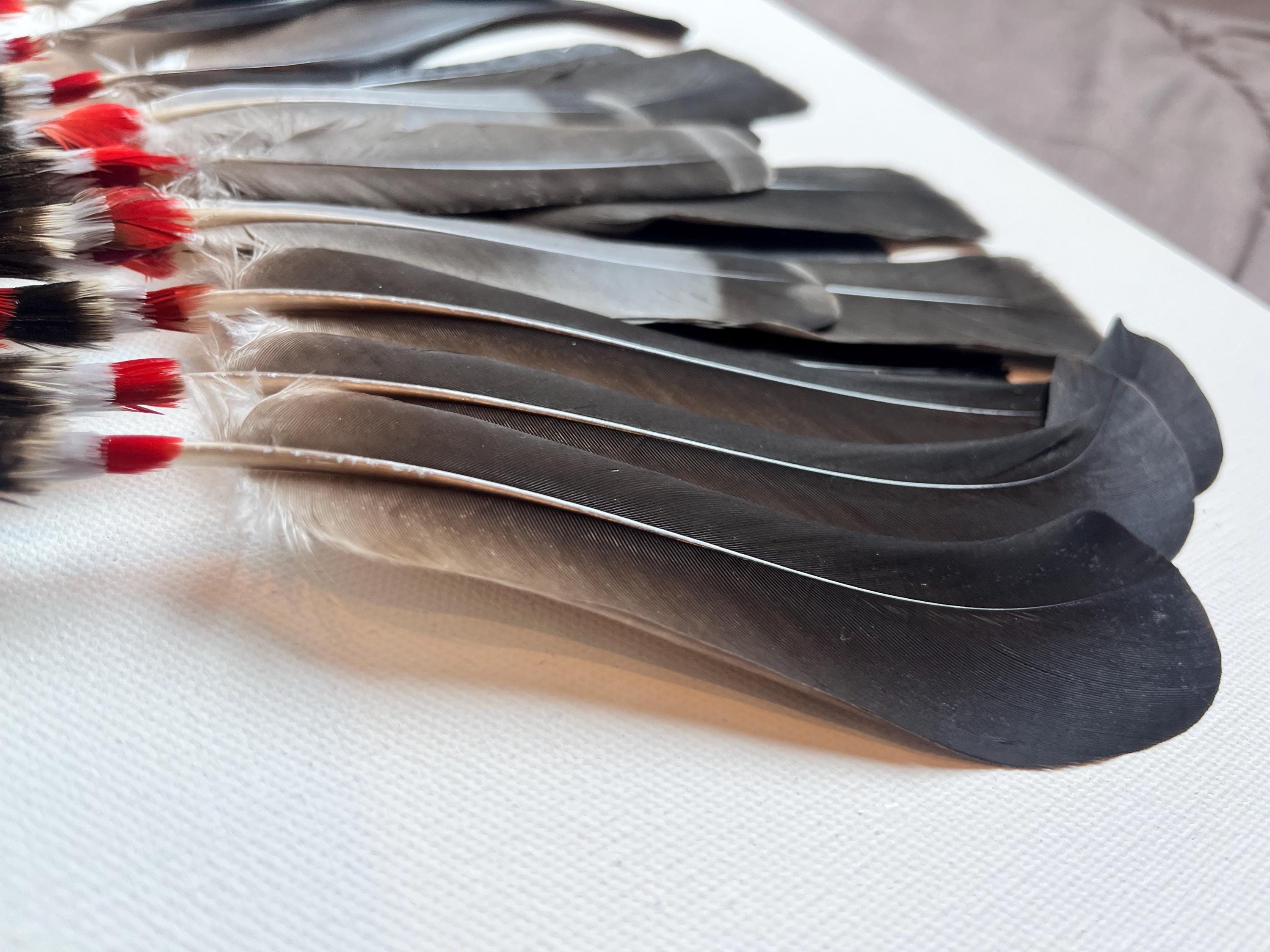 NAC Prayer Fan, Feather Peyote Ceremony Tool, Alter and Smudge Fan. - Etsy