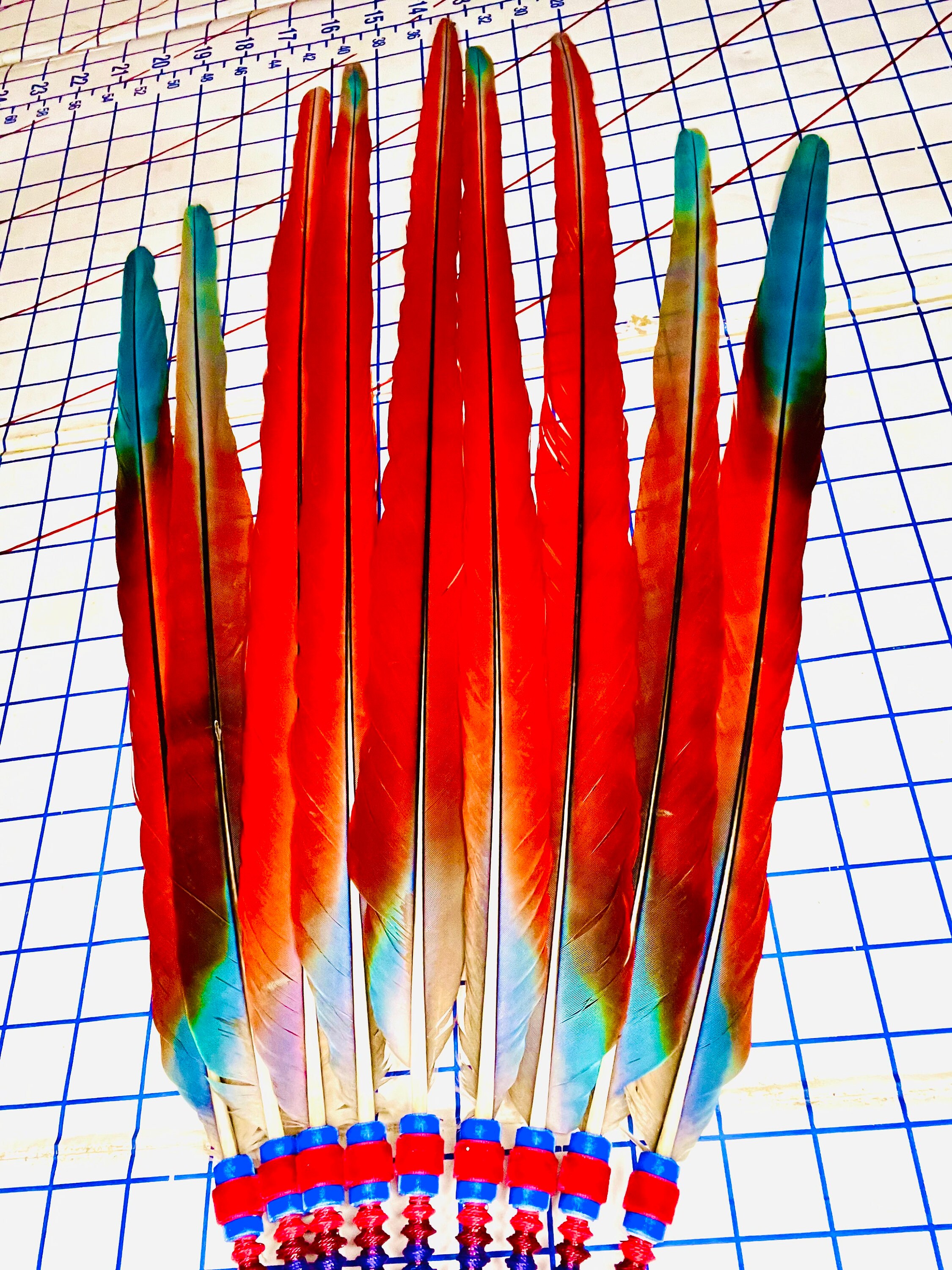 Scarlet Macaw Peyote Ceremony Feather Fan, NAC Native American Church ...
