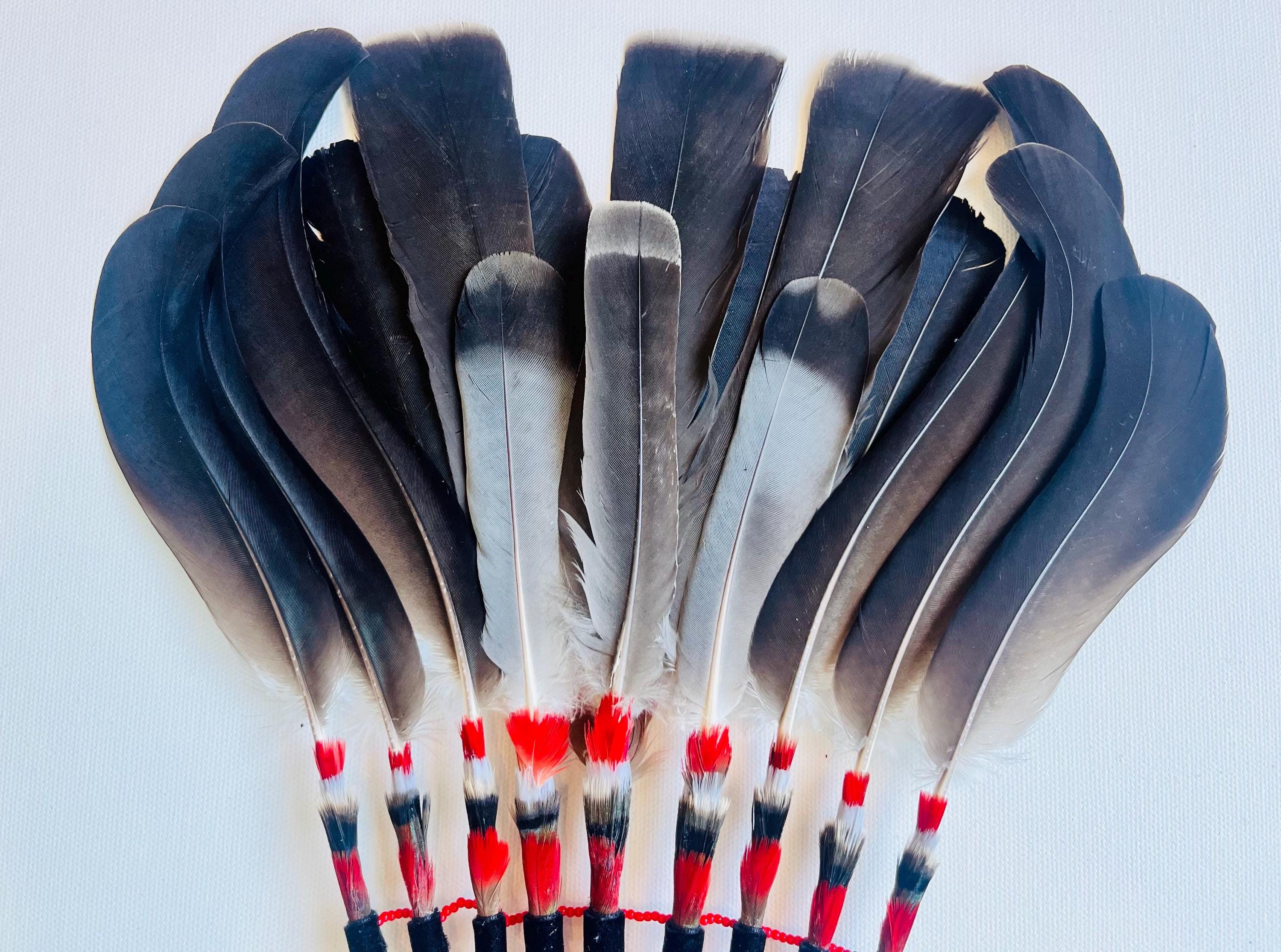 NAC Prayer Fan, Feather Peyote Ceremony Tool, Alter and Smudge Fan. - Etsy