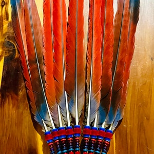 Scarlet Macaw Peyote Ceremony Feather Fan, NAC Native American Church ...