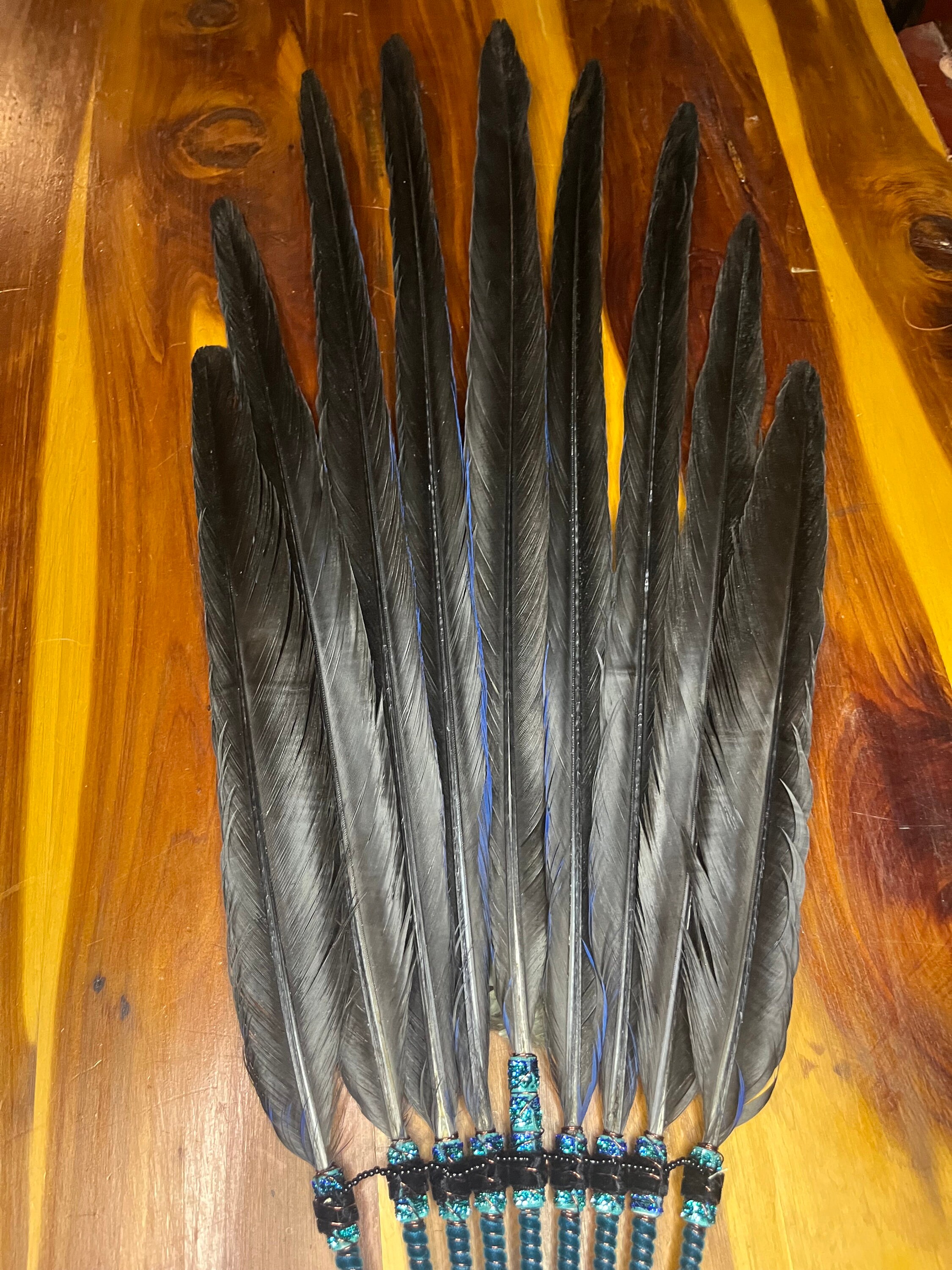 Beautiful Rare Hyacinth Macaw Feather Fan, NAC, Native American Church ...