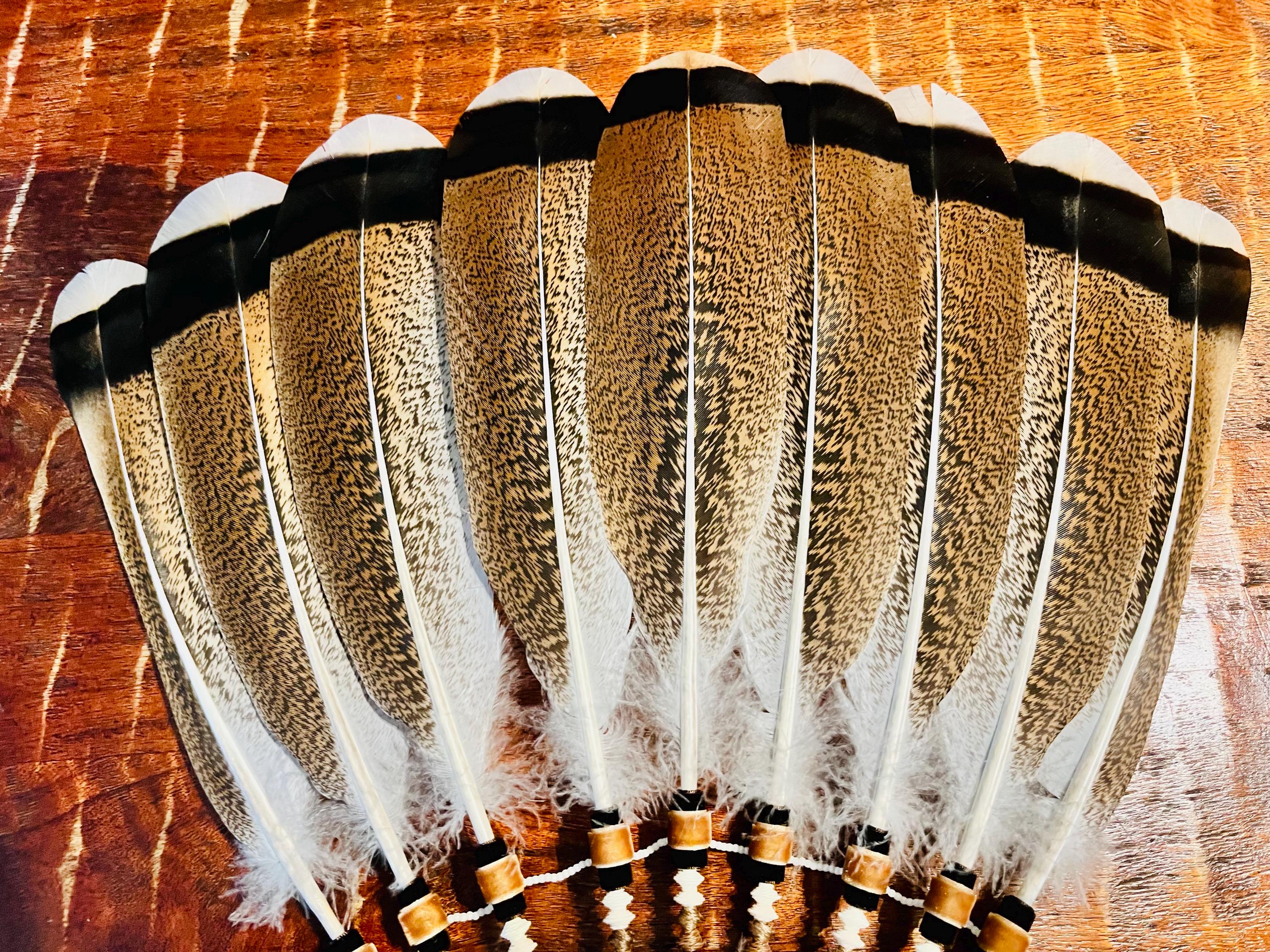 NAC Peyote Fan, Ceremony Instrument, Beautiful Natural Wild Turkey ...