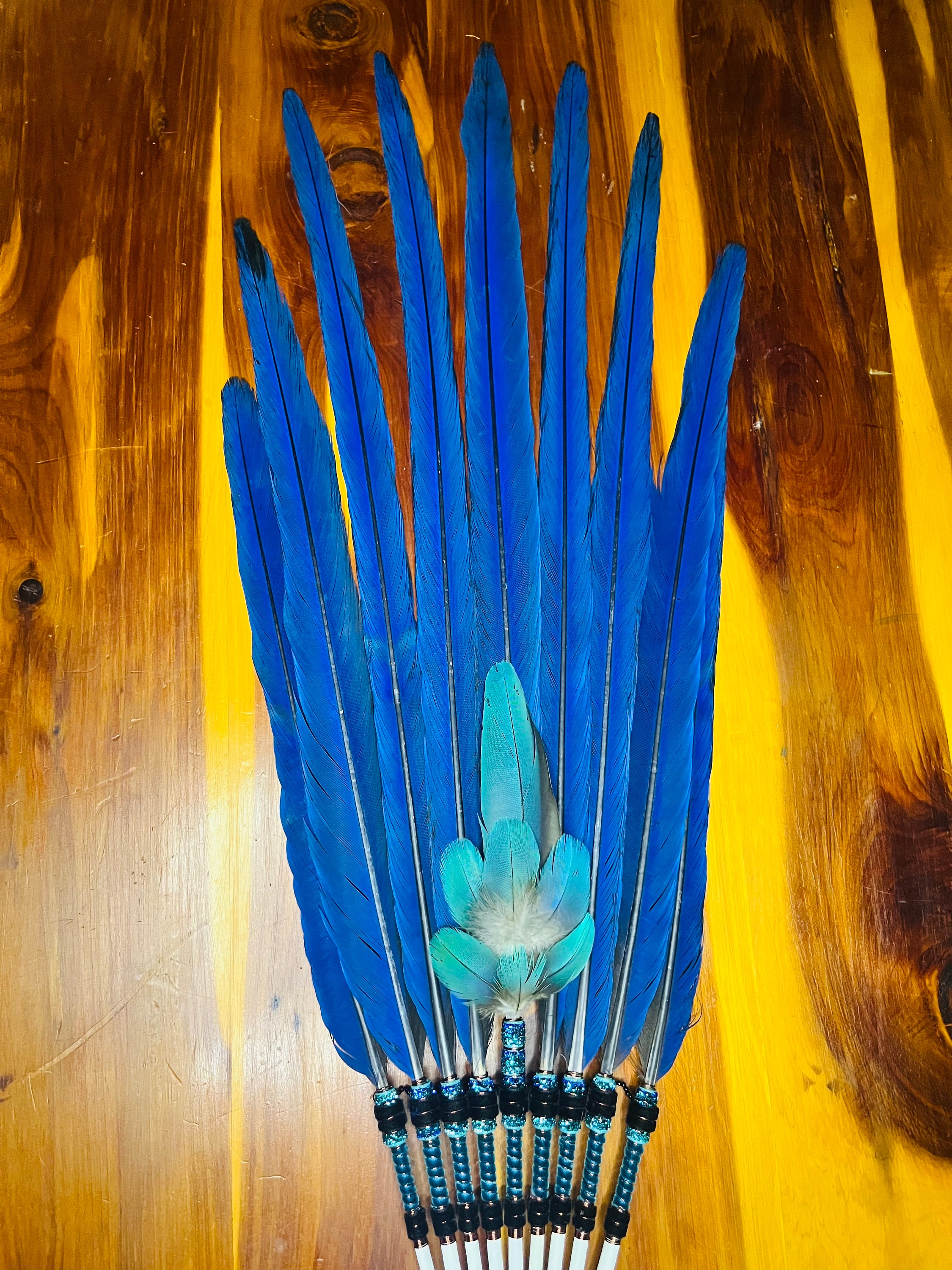 Beautiful Rare Hyacinth Macaw Feather Fan, NAC, Native American Church ...