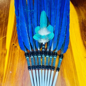 Beautiful Rare Hyacinth Macaw Feather Fan, NAC, Native American Church ...