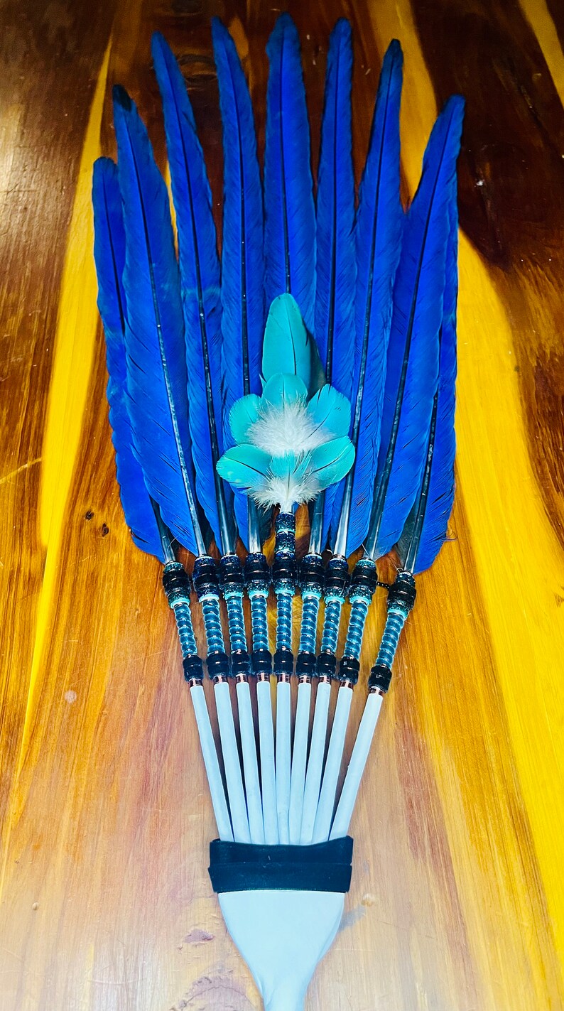 Beautiful Rare Hyacinth Macaw Feather Fan, NAC, Native American Church ...