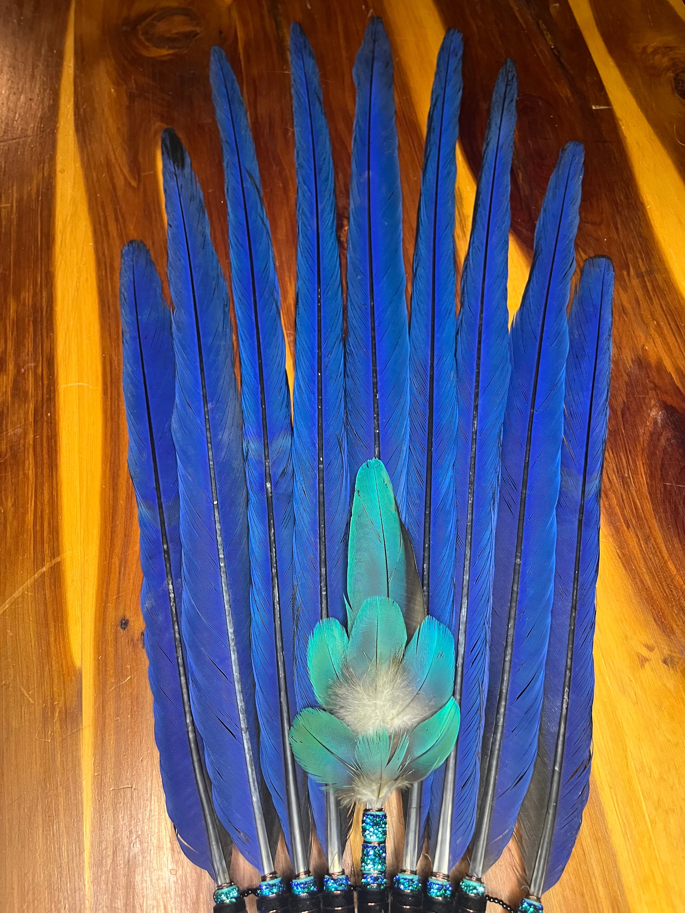 Beautiful Rare Hyacinth Macaw Feather Fan, NAC, Native American Church ...