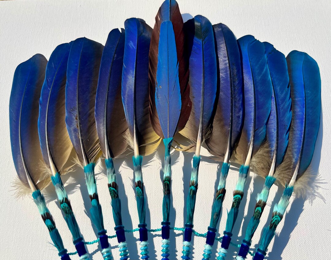 NAC Native American Church Prayer Fan, Peyote Ceremony Instrument ...